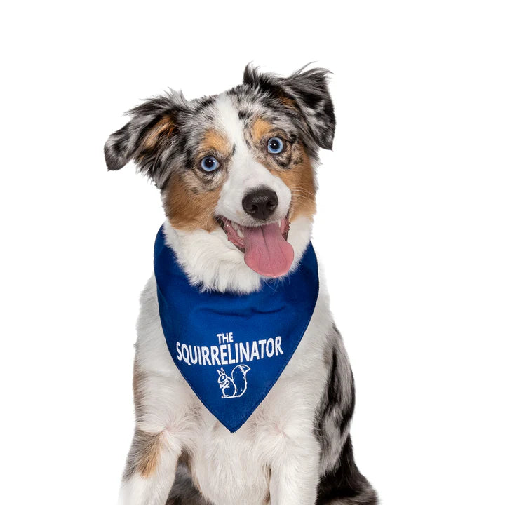 Dog Bandana Squirrelinator
