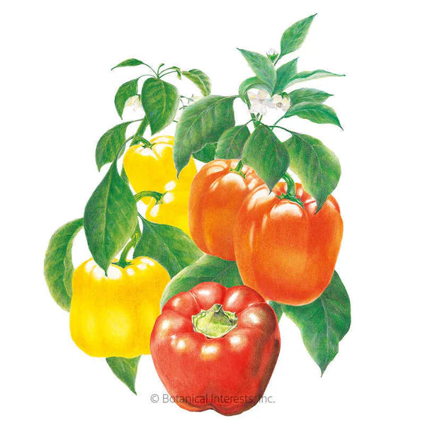 Botanical Interests, Inc. - Sweet Bell Pepper Blend (grn/r/y) Seeds
