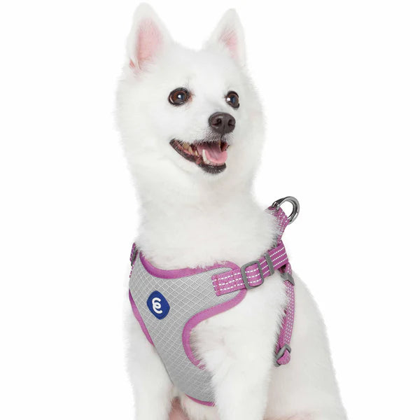 Blueberry Pet - Mauve Orchid | Better Basics Reflective Dog Harness Ve