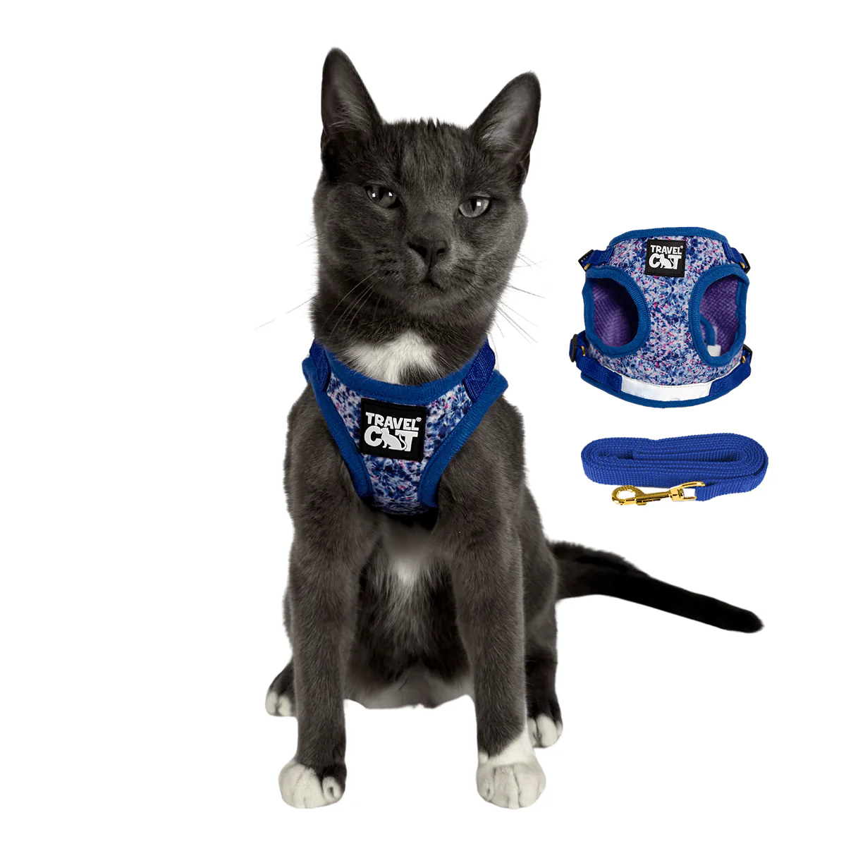 Harness & Leash Set - "The Groovy Cat"