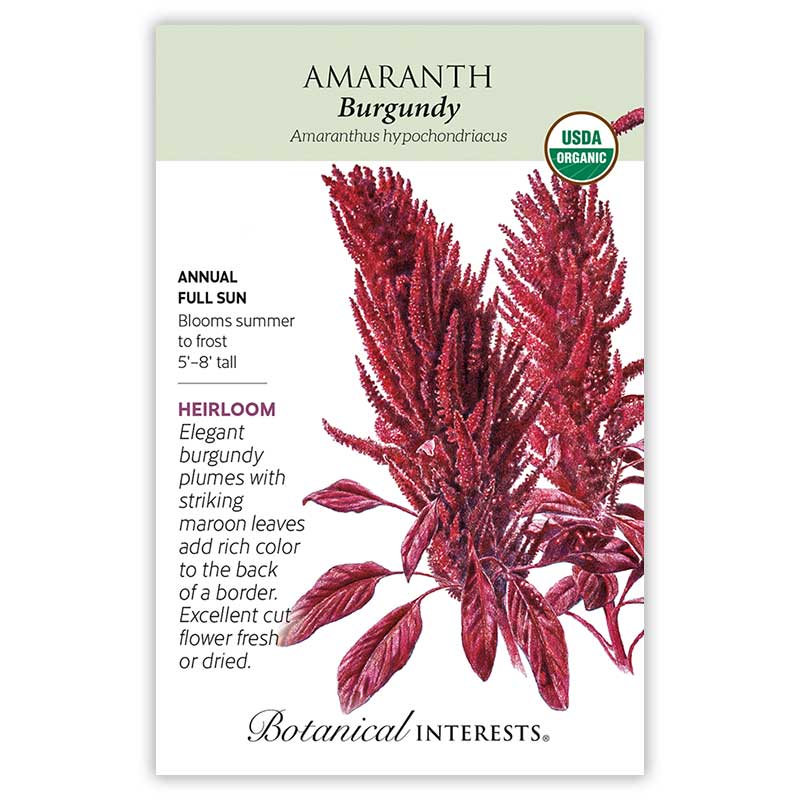 Botanical Interests, Inc. - Burgundy Amaranth Seeds