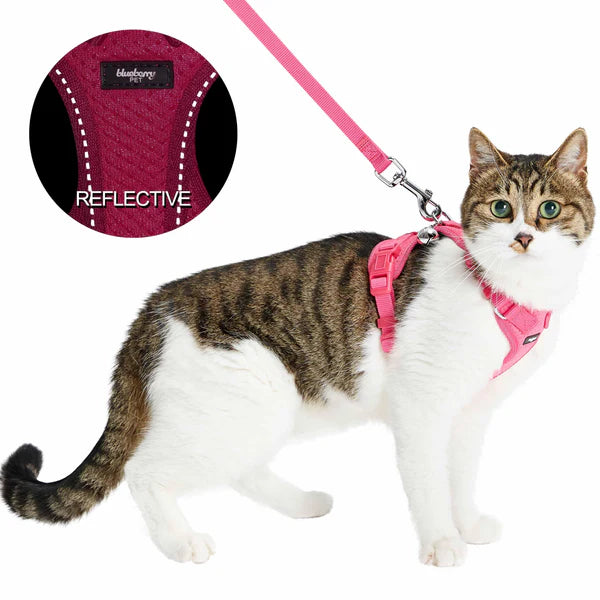 Blueberry Pet - Reflective Cat Harness & Leash Set with Bell