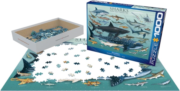 Eurographics Puzzles - Puzzle Sharks