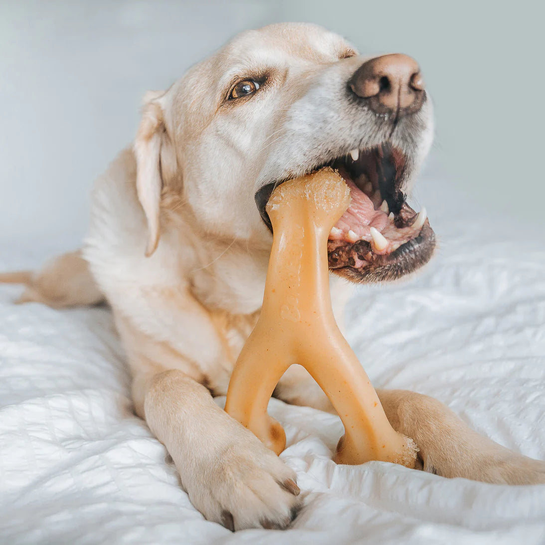 Benebone - Wishbone Nylon Chew Toy Chicken