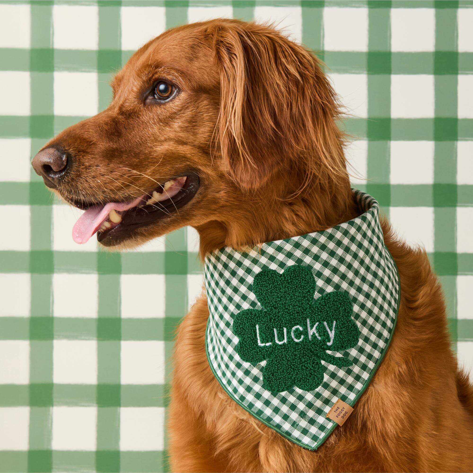 Foggy Dog - Dog Bandana Clover Applique