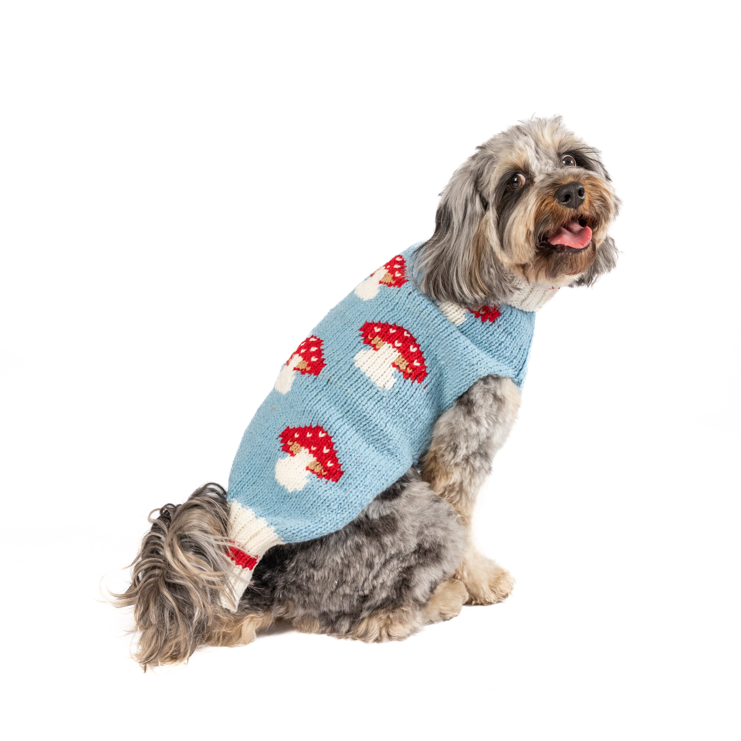 Chilly Dog - Dog Sweater Mushroom