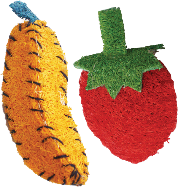 A & E Cage Company - Nibbles Small Animal Loofah Chew Toy, Banana & St