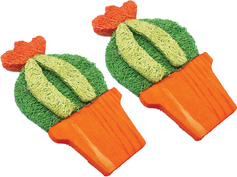 A & E Cage Company - Nibbles Small Animal Loofah Chew Toy, Barrel Cact