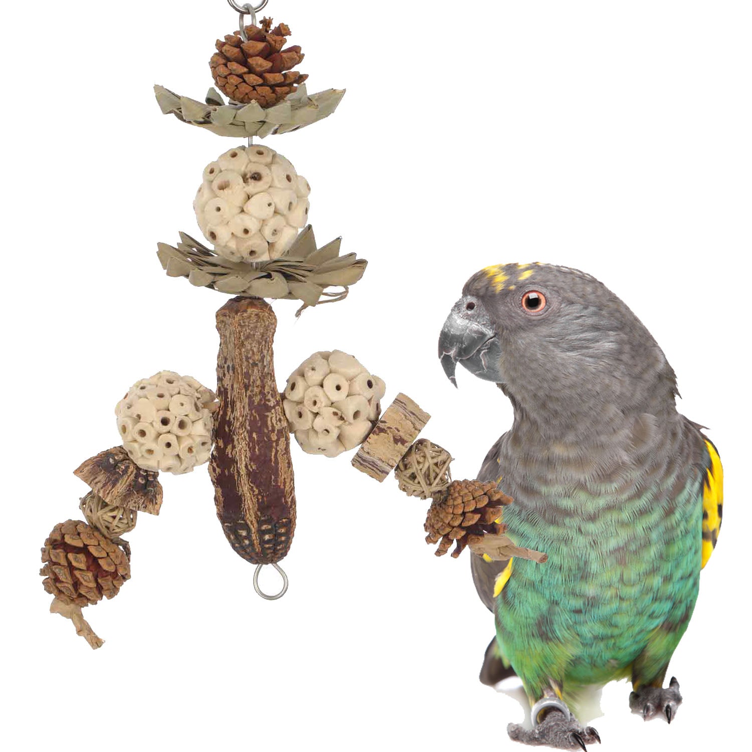 Super Bird Creations - Palm Flower Tower Bird Toy