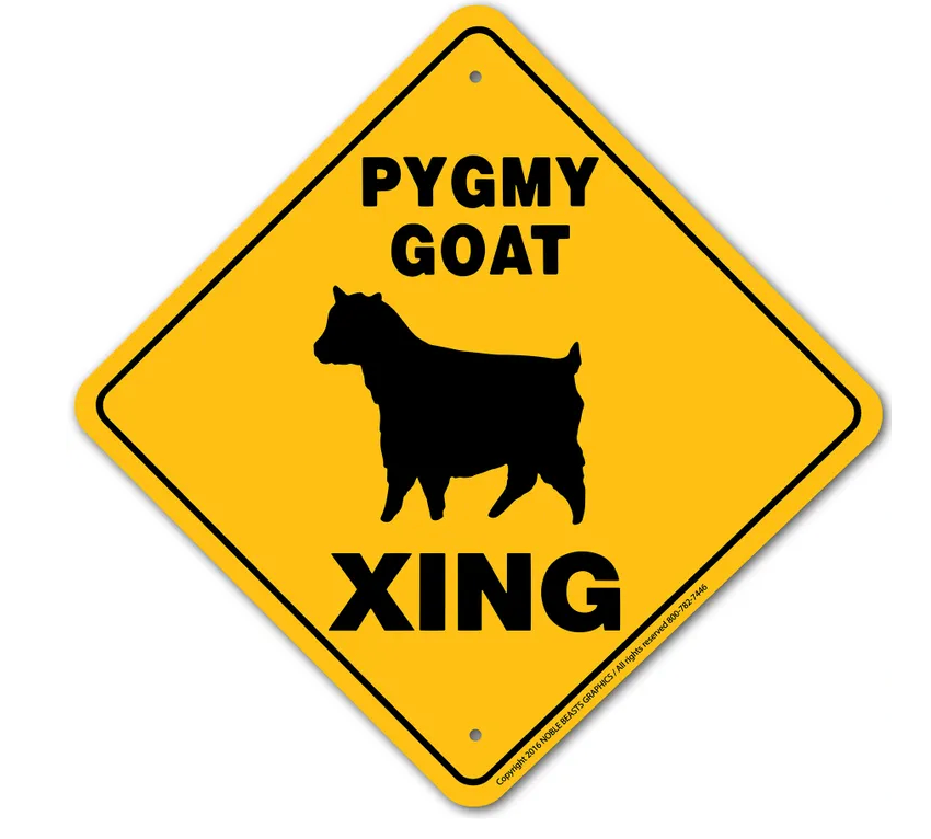 Noble Beasts - Pygmy Goat X-ing Sign