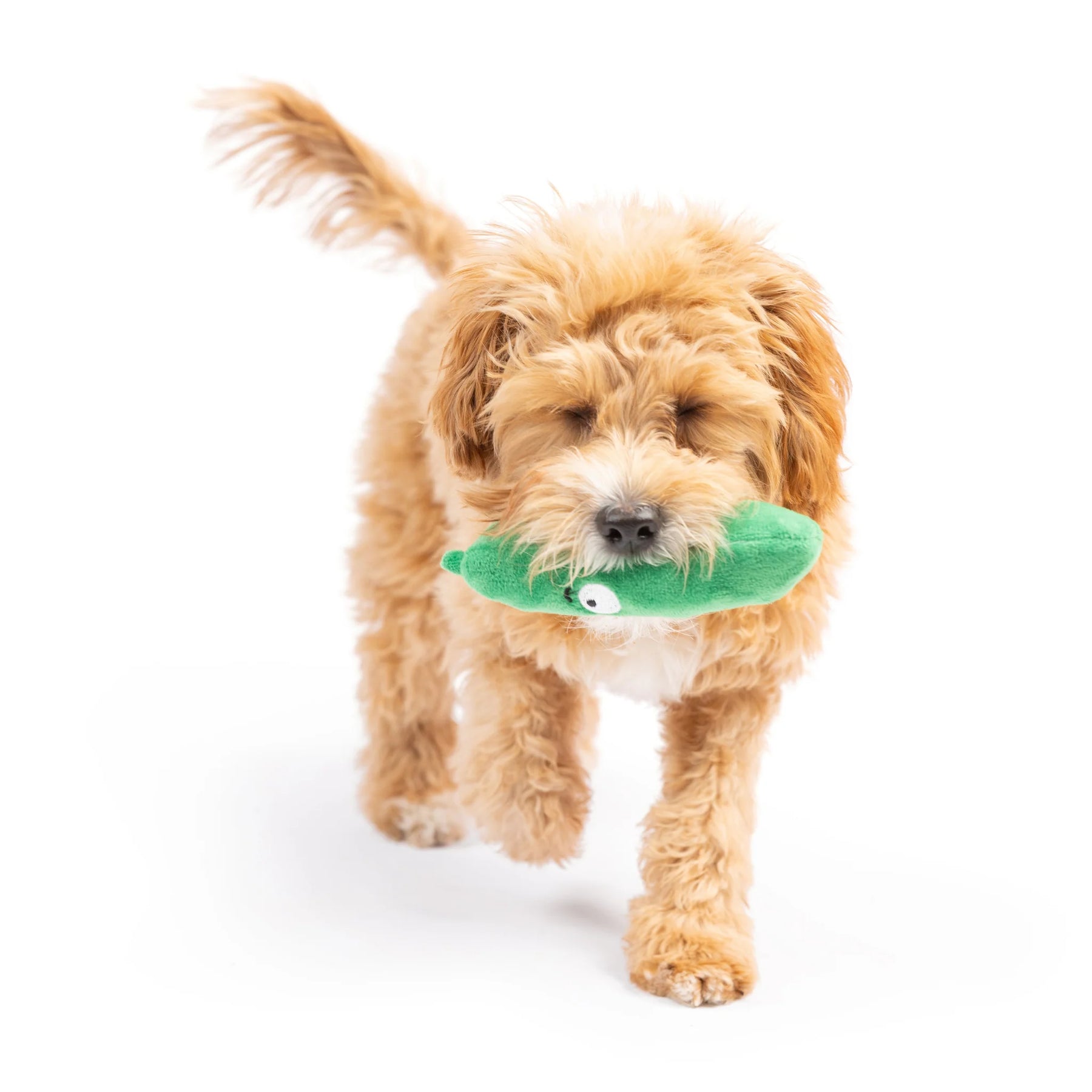 Huxley & Kent - Dog Toy Tiny Tuff Dell Pickle