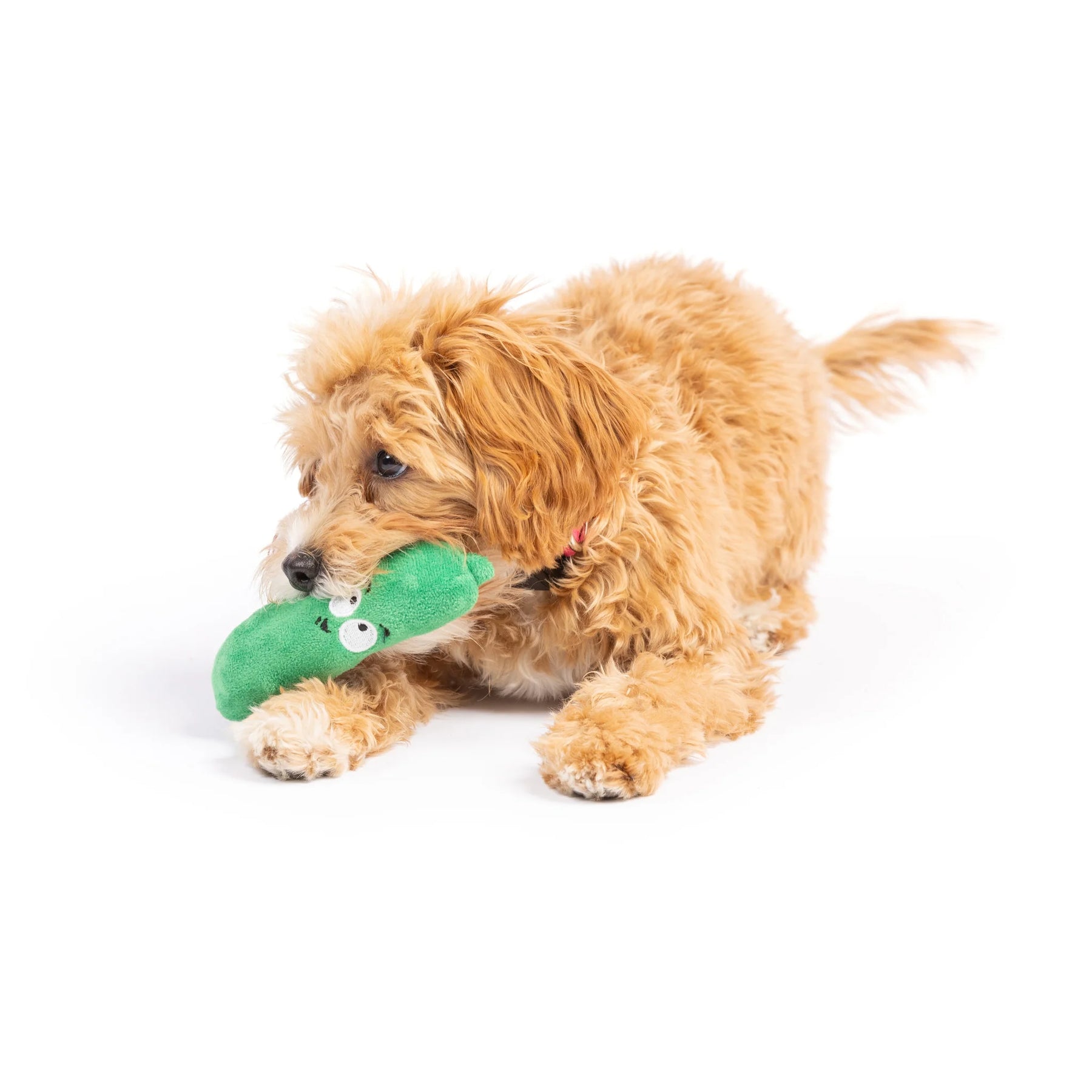 Huxley & Kent - Dog Toy Tiny Tuff Dell Pickle