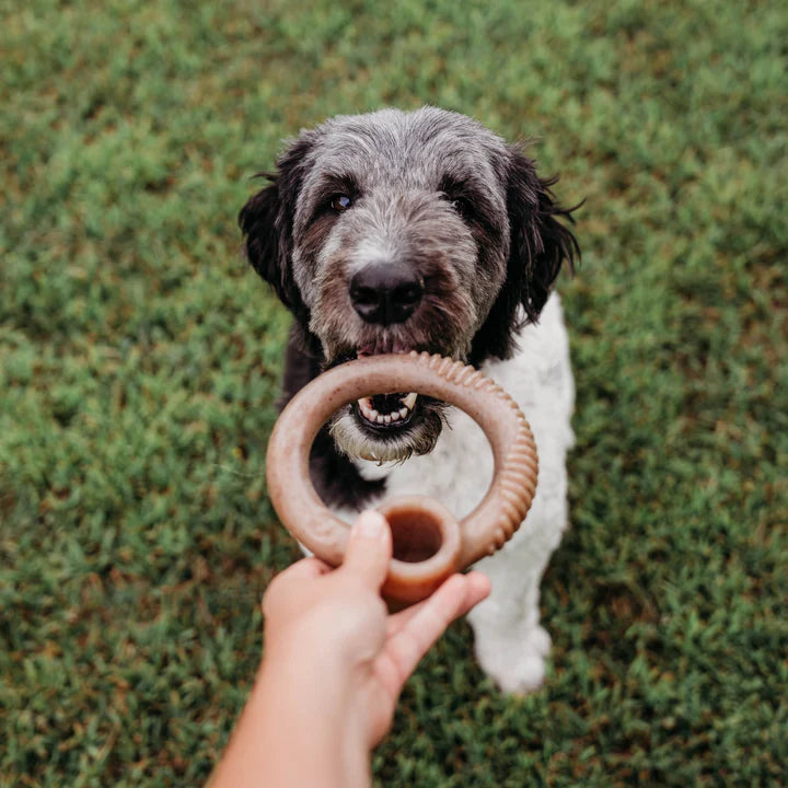 Benebone - Ring Nylon Chew Toy Bacon