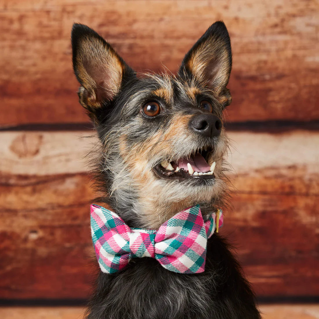 The Foggy Dog - Dog Bow Tie Callie Plaid Flannel