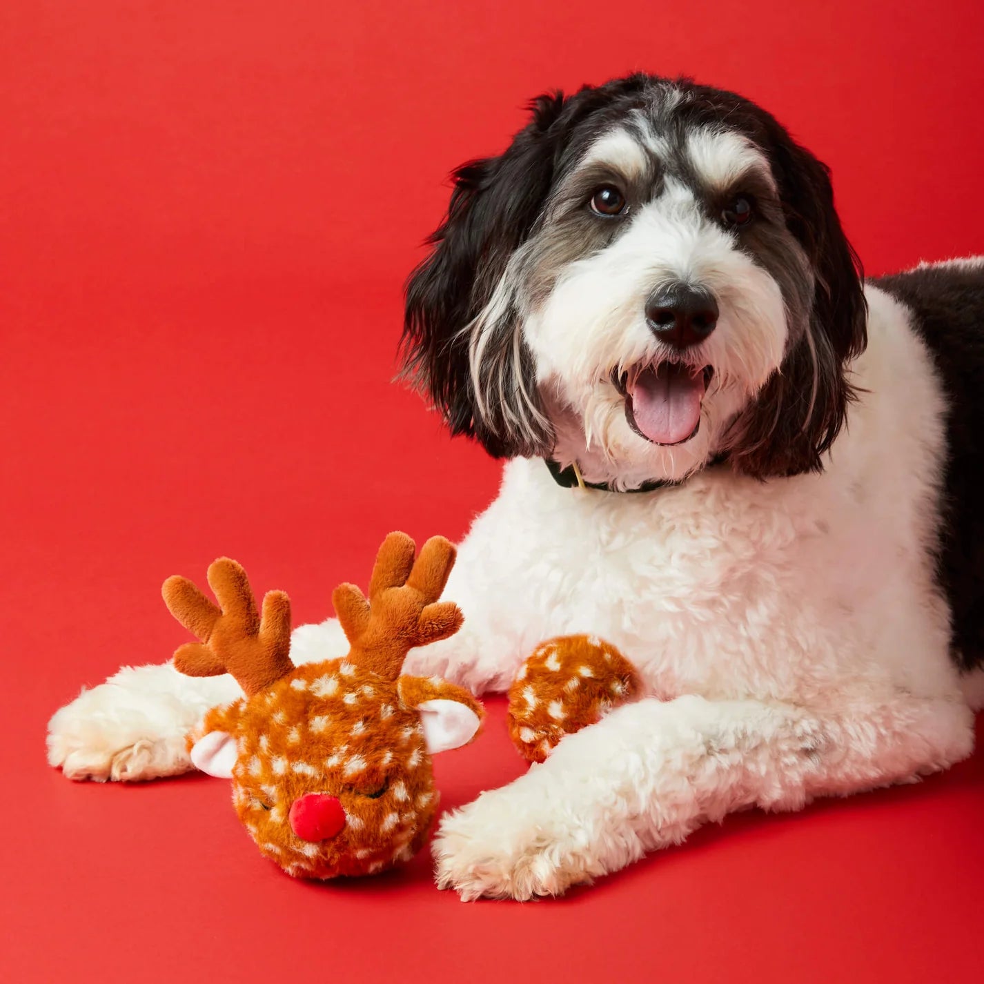The Foggy Dog - Dog Toy Reindeer Interactive Snuffle