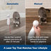 Pet Safe - Bolt Laser Cat Toy