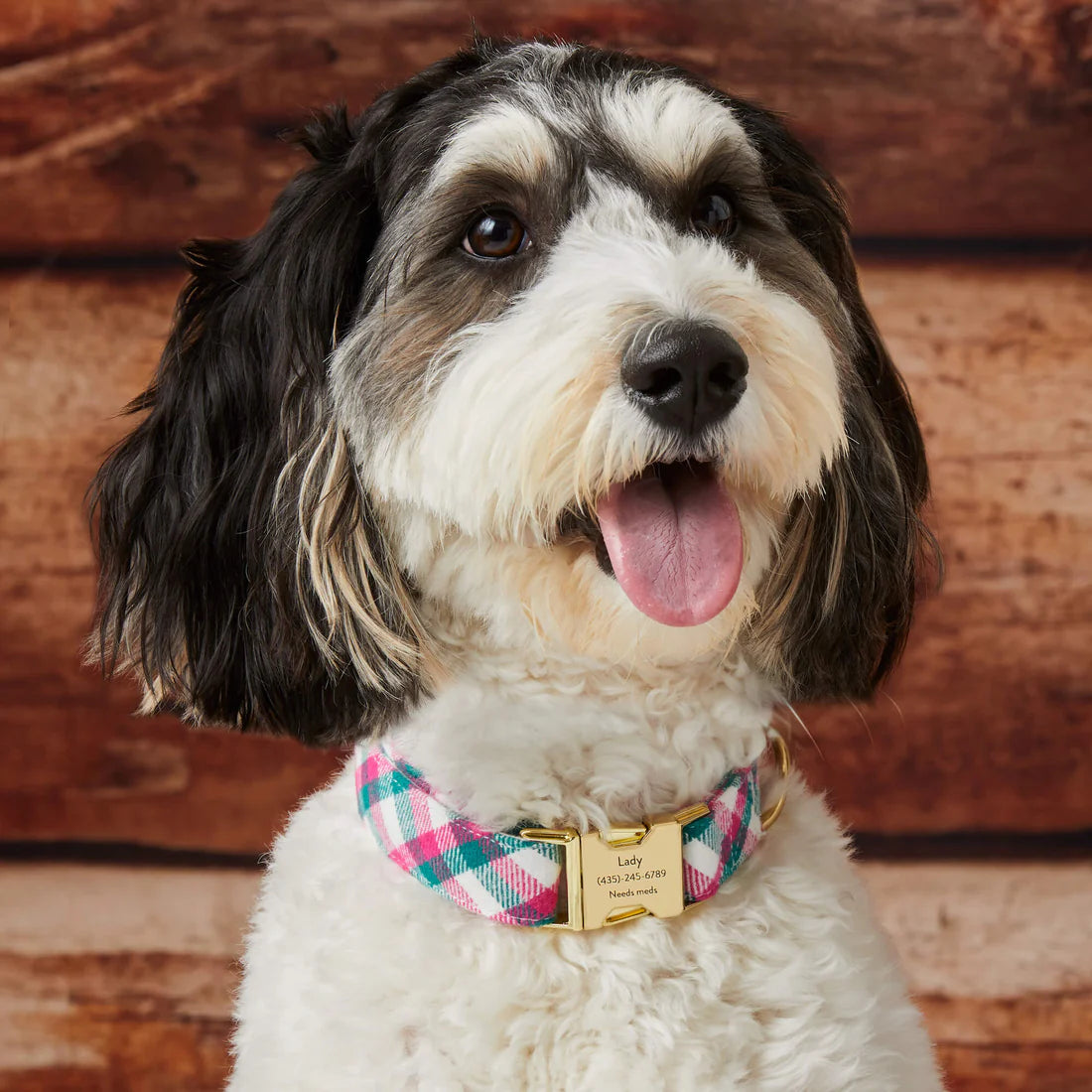 The Foggy Dog - Dog Collar Callie Plaid Flannel