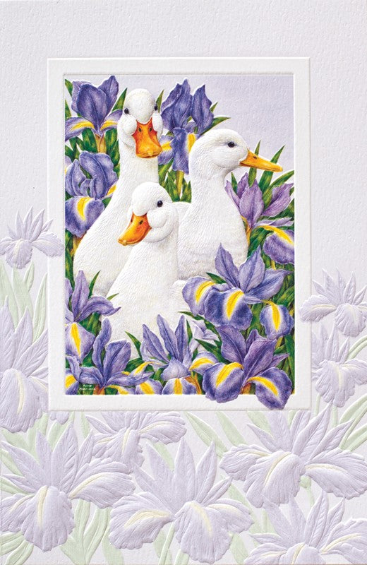 PTR Creative LLC - Card Garden Ducks