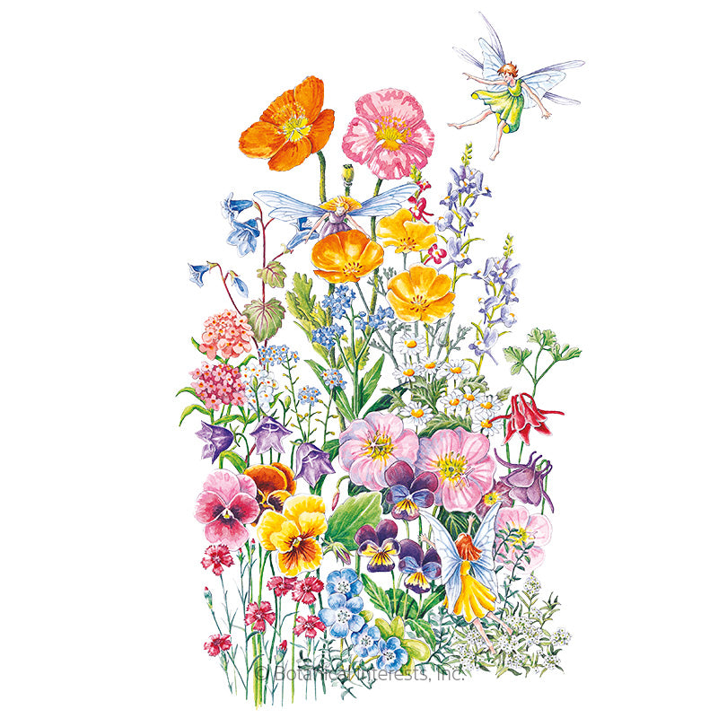 Botanical Interests, Inc. - Flower Mix "Fairy Meadow" Seeds