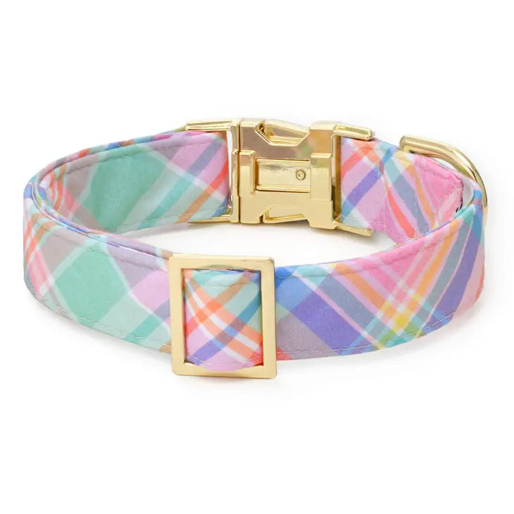 The Foggy Dog - Dog Collar Blooming Plaid
