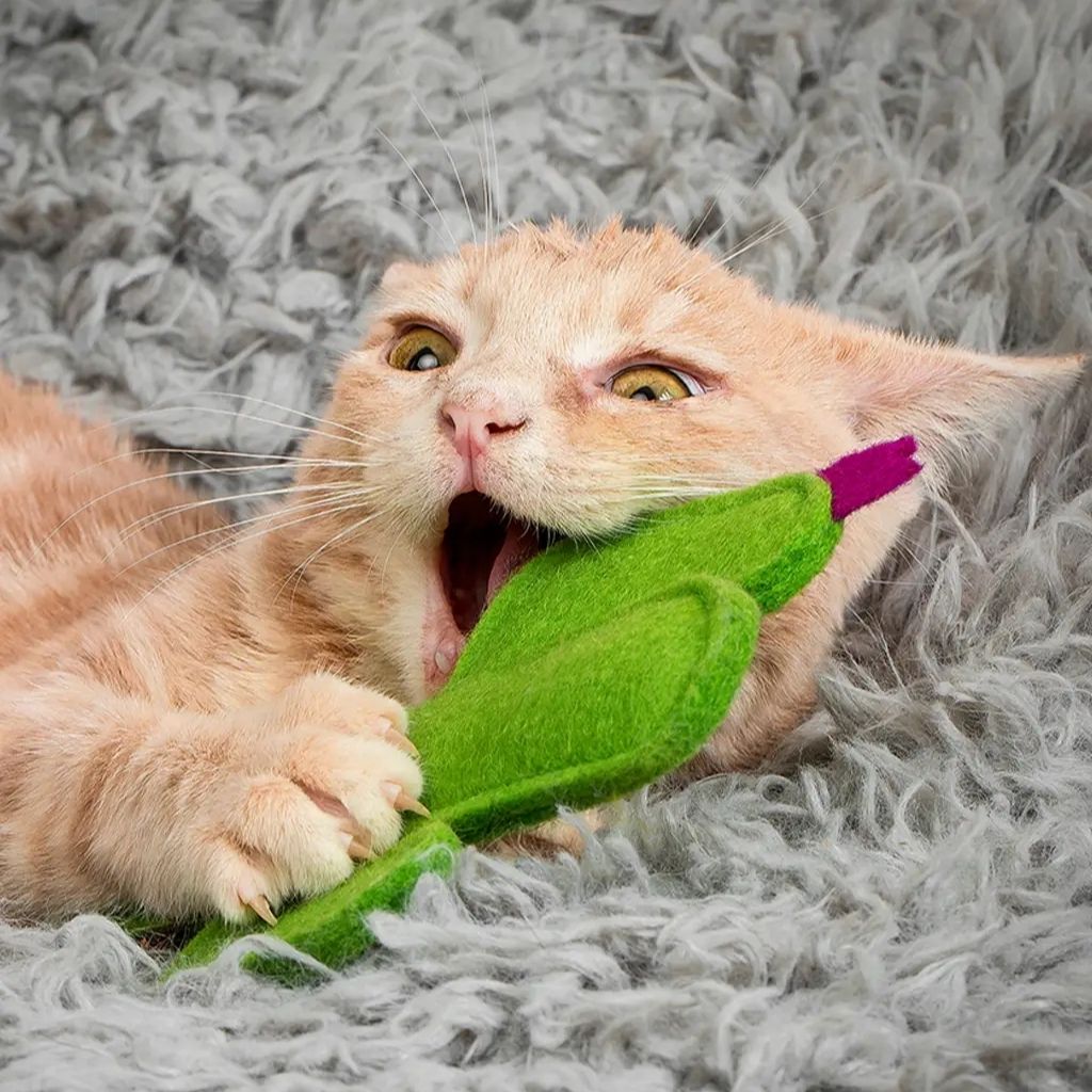 Modernbeast - Kitty Cactus Cat Toy Filled with 100% Catnip