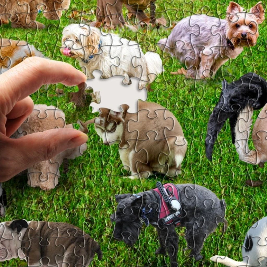Funware - 101 Pooping Puppies 1,000 Piece Puzzle