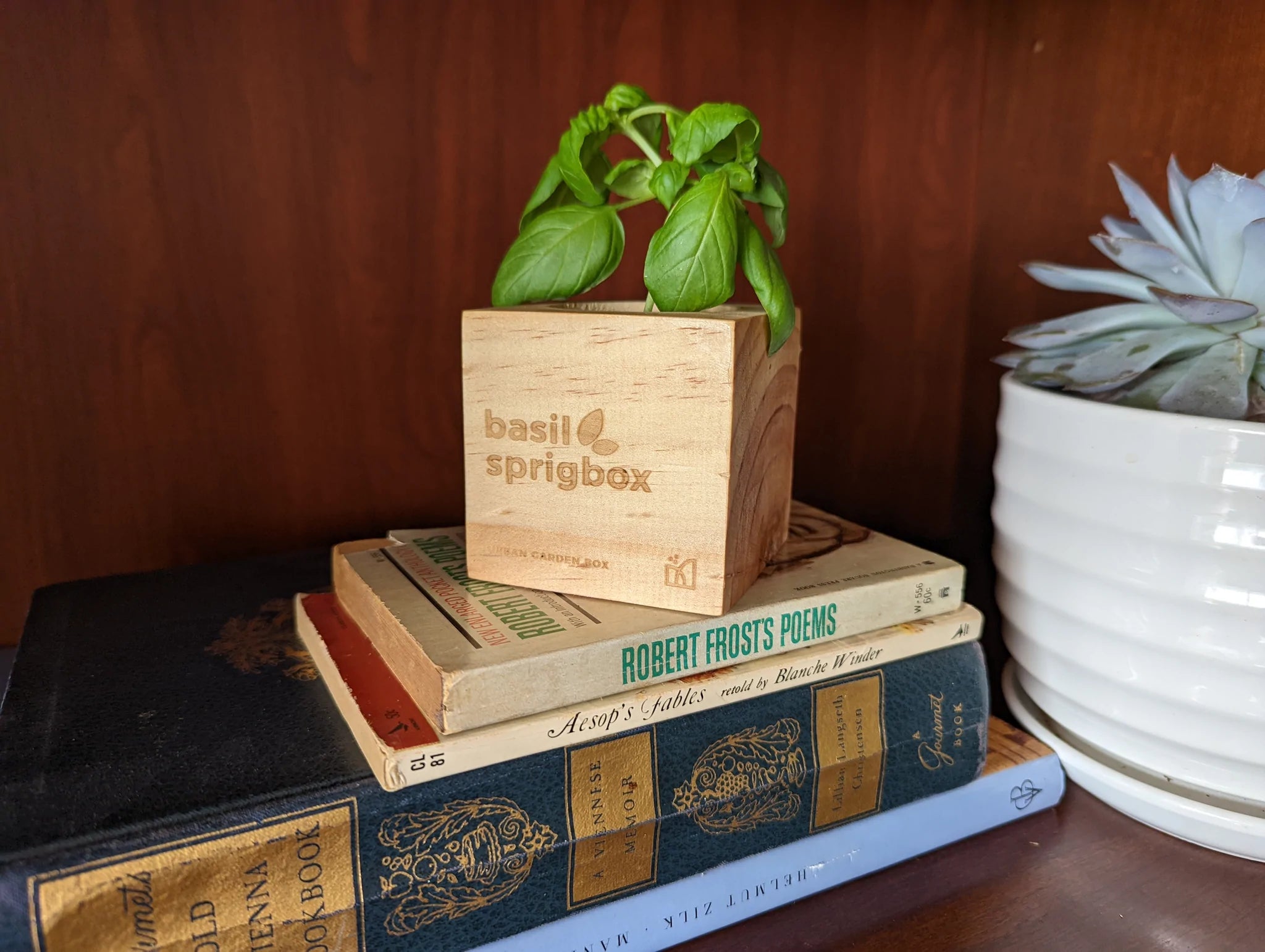 Sprigbox Basil Grow Kit