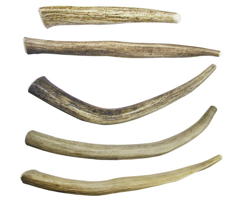 Happy Dog of Cape Cod - Antler Mule Deer Dog Treats