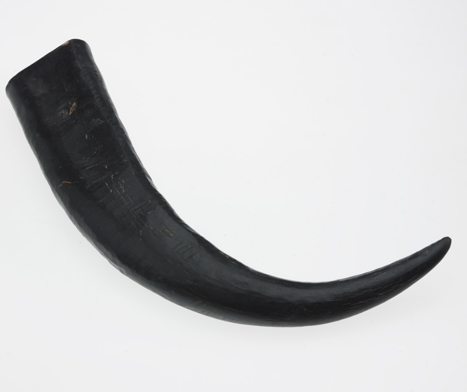 Wild Eats - Water Buffalo Horn Chew Dog Treat