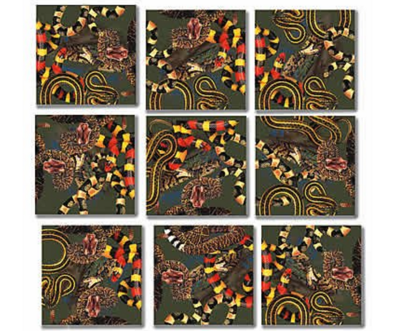 Scramble Squares - Snakes of North America