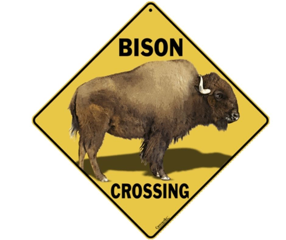 Atlas Screen Printing - Bison Crossing Sign by Crosswalks