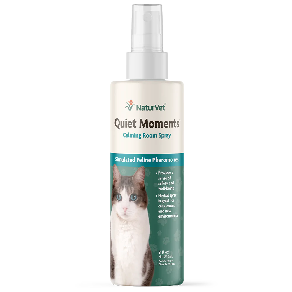 Quiet Moments Calming Spray for Cats