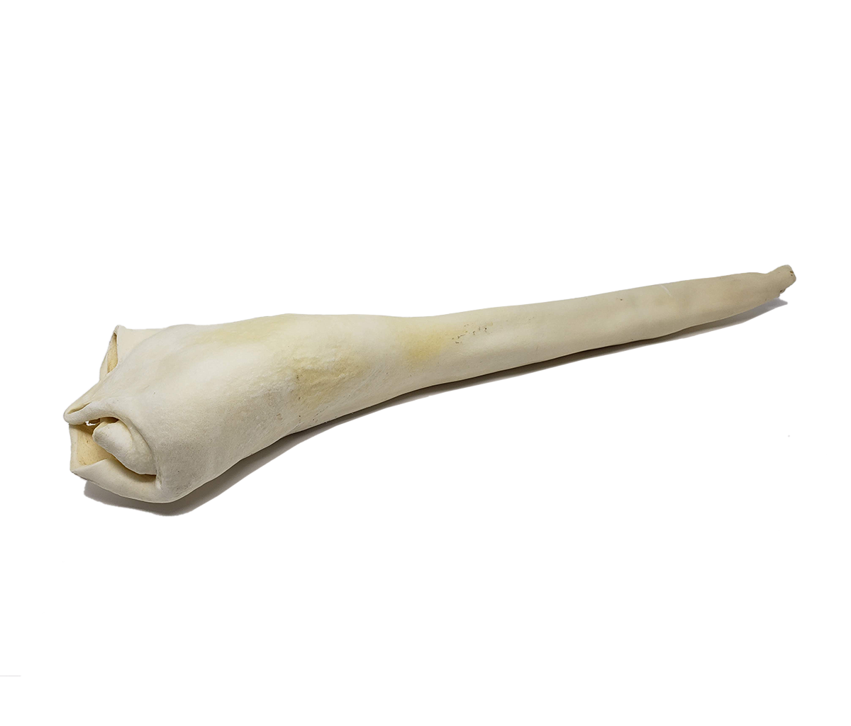 Home Range - Full Length Bull Tail