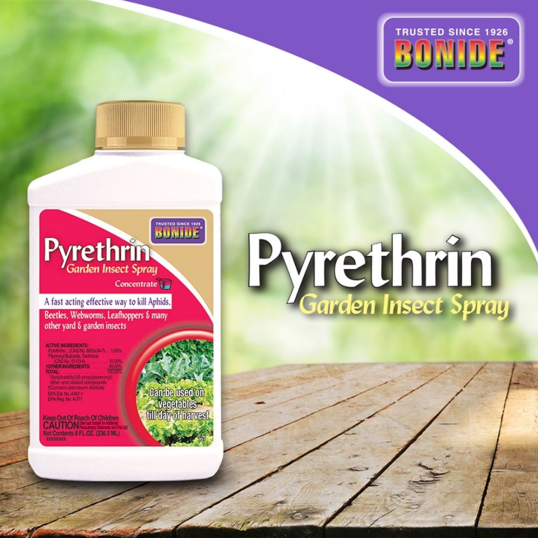 Bonide - Pyrethrin Garden Spray Concentrate