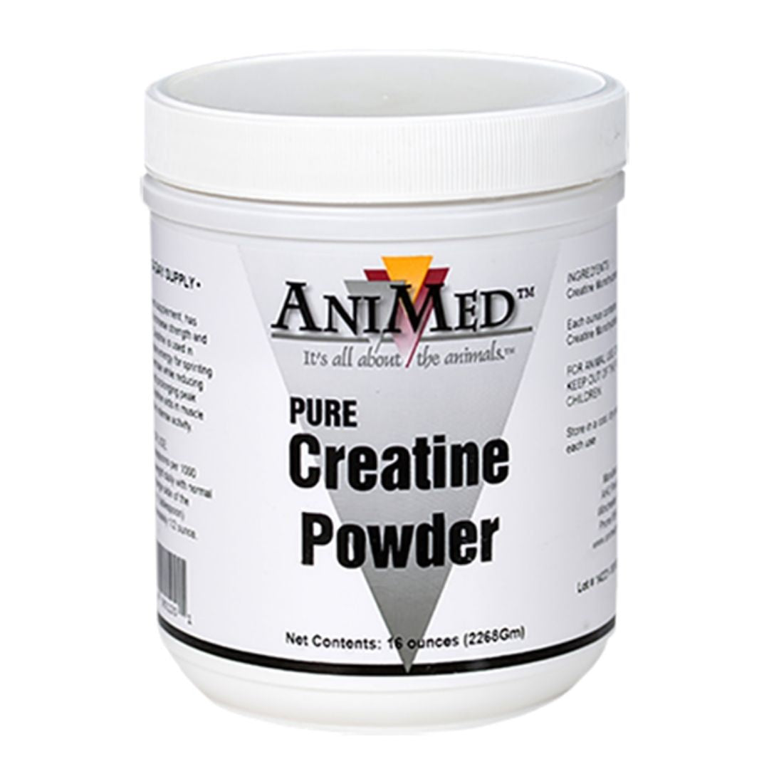 AniMed - Creatine Powder Supplement for Horses