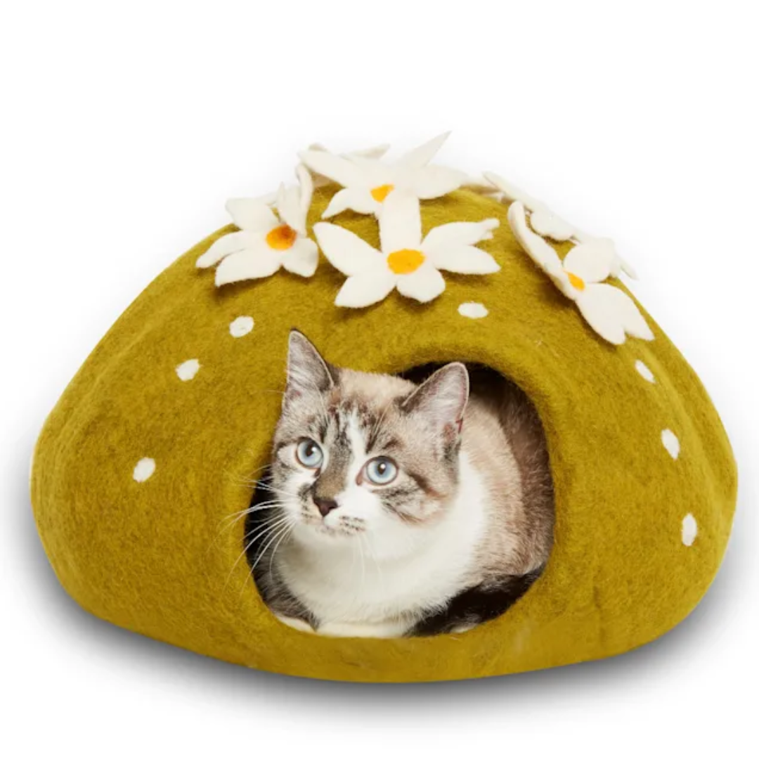 Dharma Dog Karma Cat - Pet Cave Cactus Wool