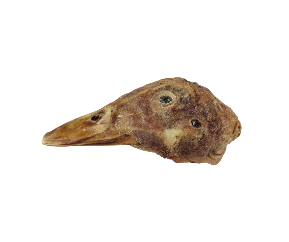 Vital Essentials Duck Heads Freeze Dried Snack Dog Treat