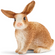 Schleich - Rabbit