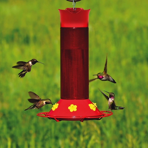 Perky Pet - Our Best Hummingbird Container